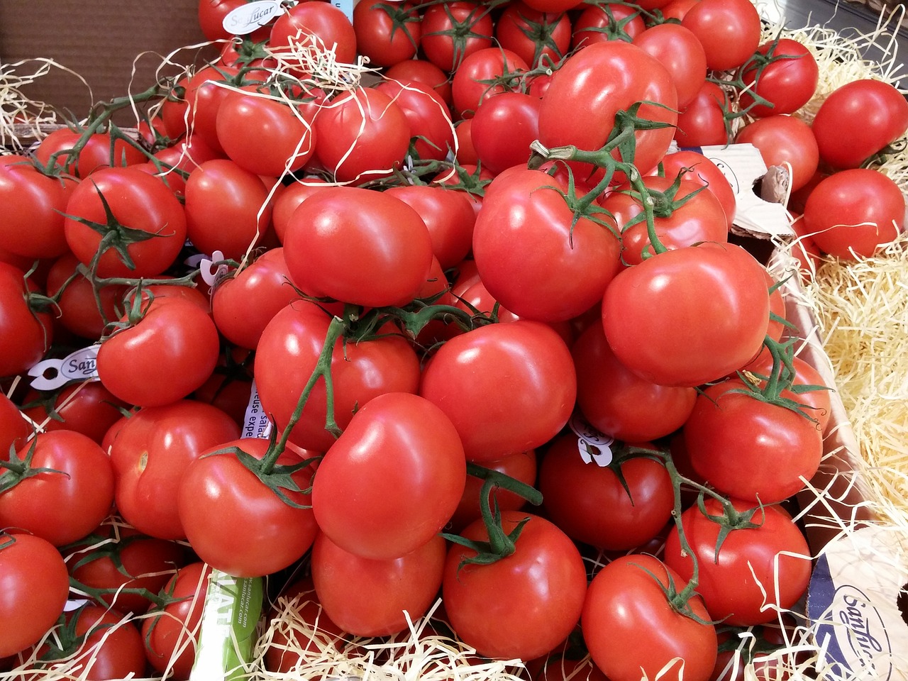 What is a Sagra? Discover this Italian Tradition