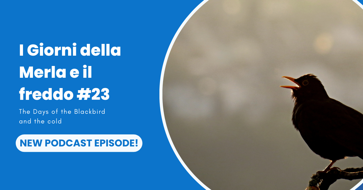I Giorni della Merla e il freddo #23